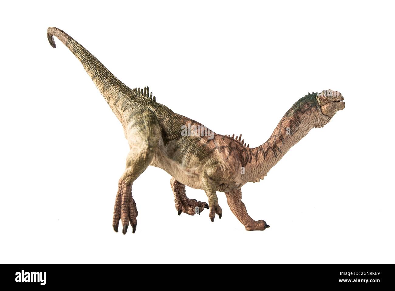 Chilesaurus Dinosaur on white background Stock Photo - Alamy