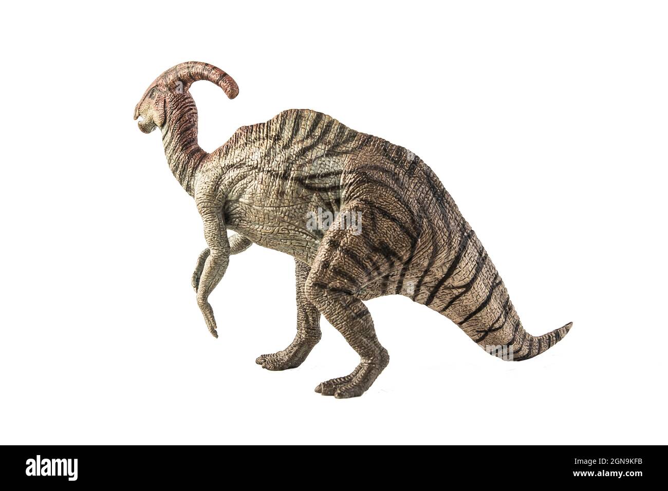 Parasaurolophus Dinosaur on white background Stock Photo - Alamy