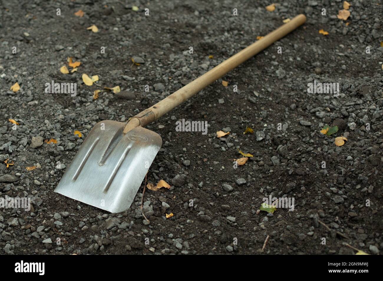 Shovel. Building instrument for bulk materials. The shovel lies on the ...