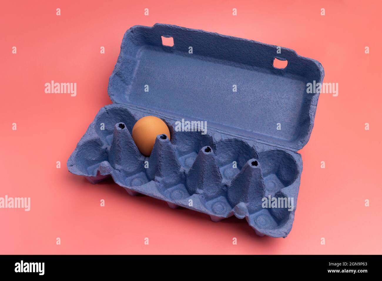 blue biodegradable egg box on pink background Stock Photo - Alamy