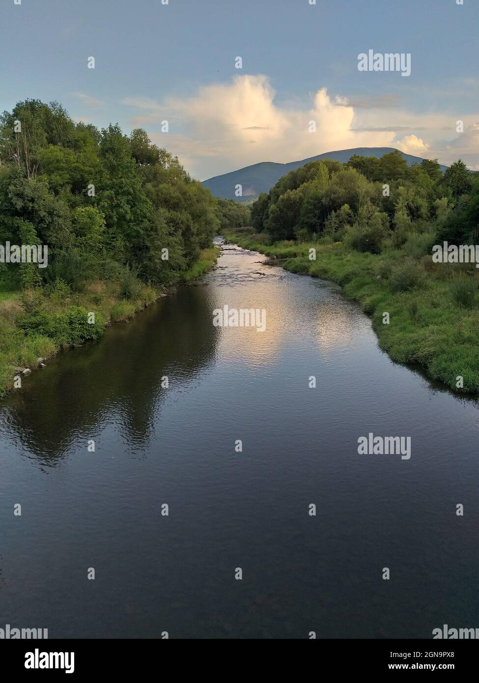 Vertical shot of a river surrounded by greenery under the sunlight in ...