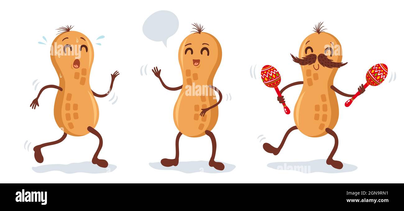 Vector illustration of peanut in different poses. Vector cartoons of ...