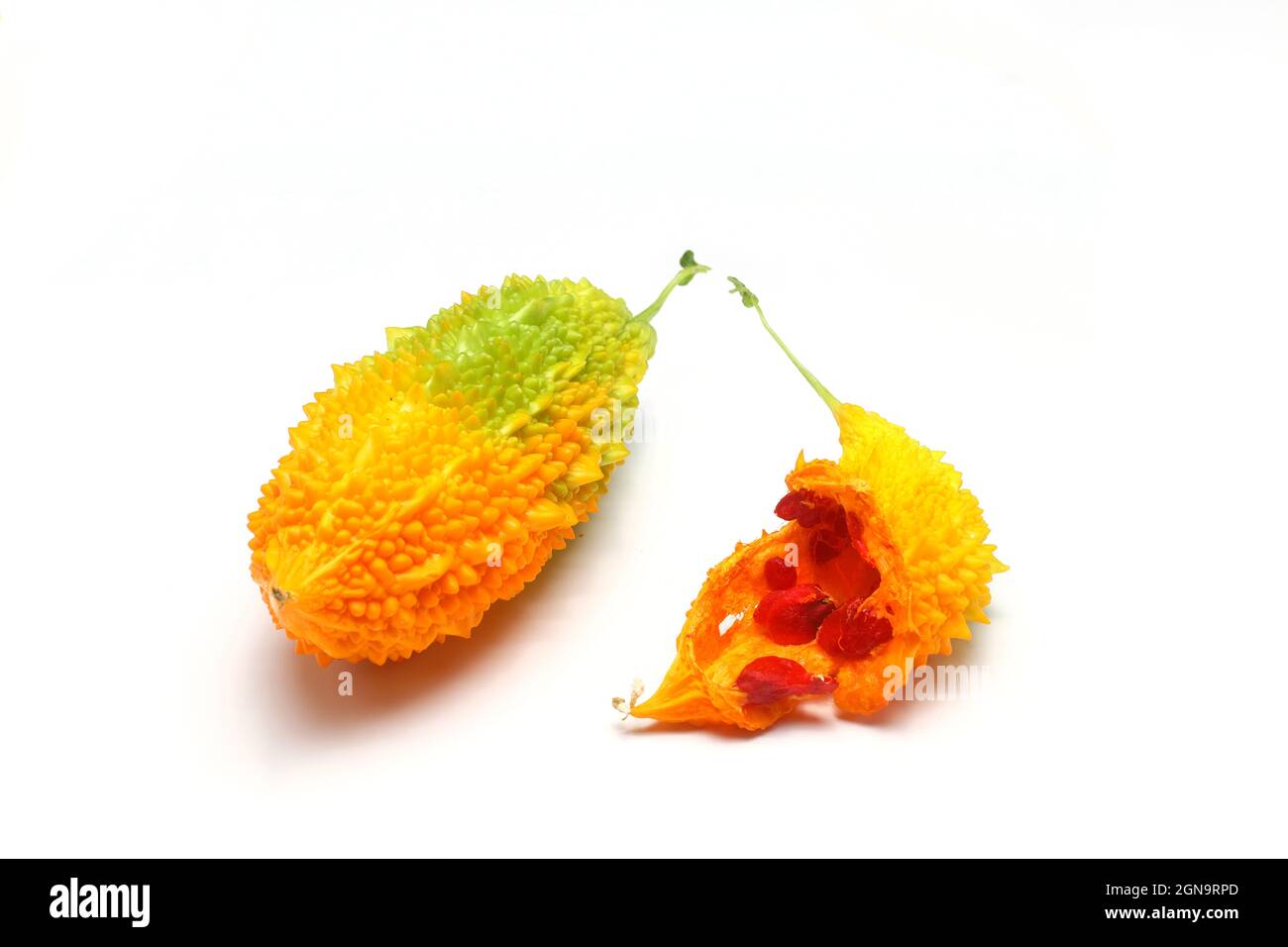 Momordica charantia isolated on a white background. Ripe whole fruits ...