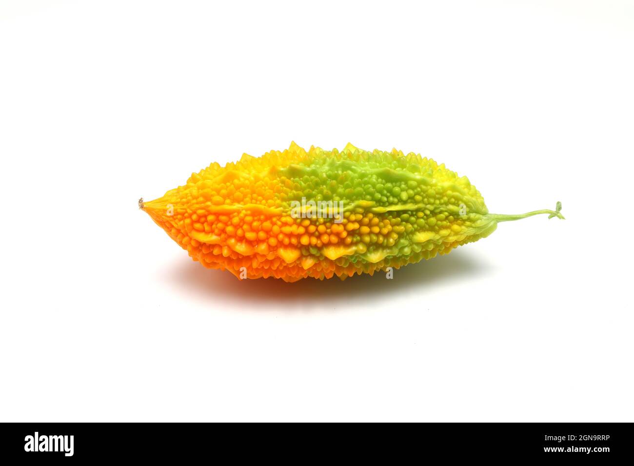 Momordica charantia isolated on a white background. Ripe whole fruits ...