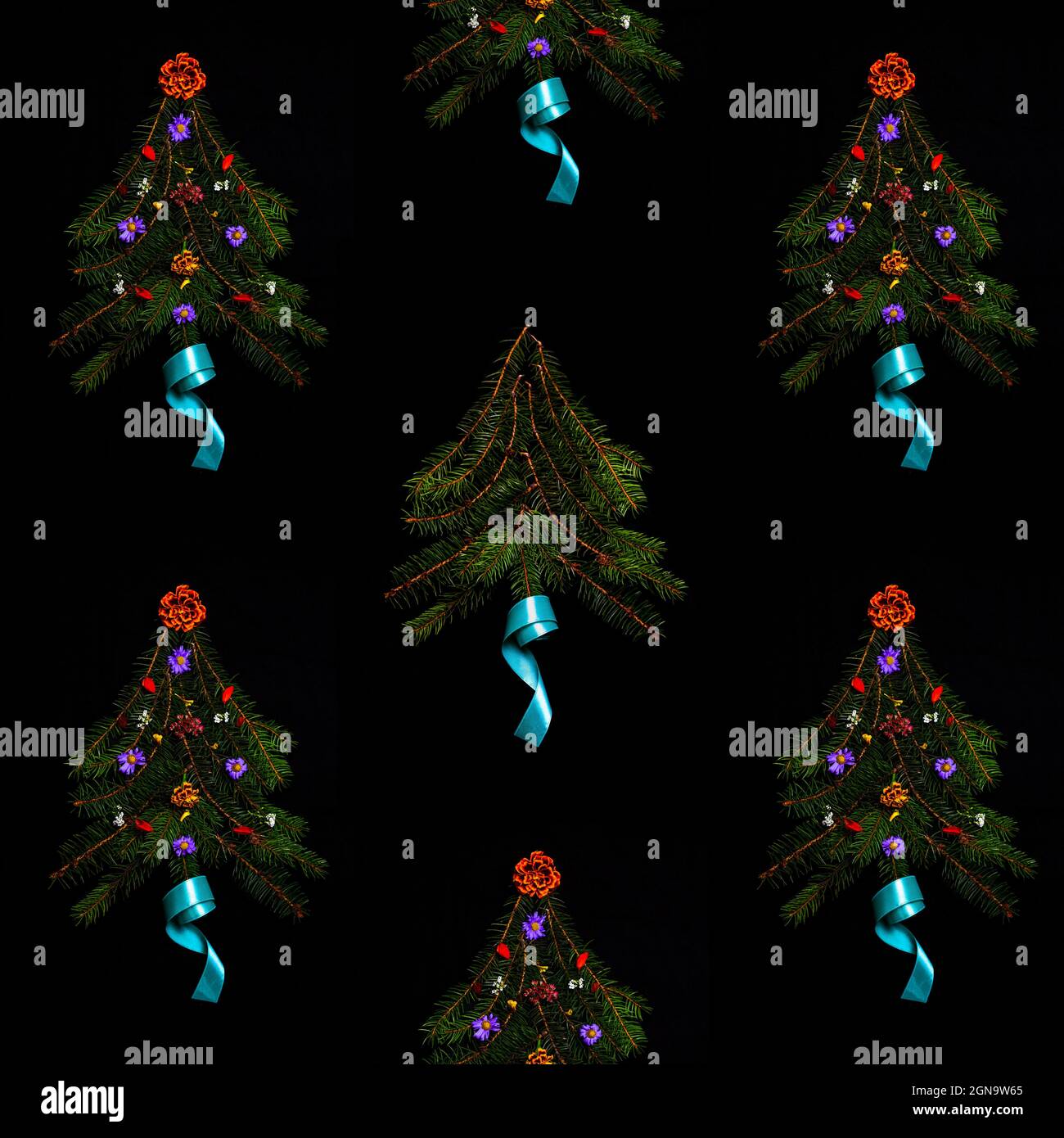 Pattern of Christmas trees on a black background, photography ...