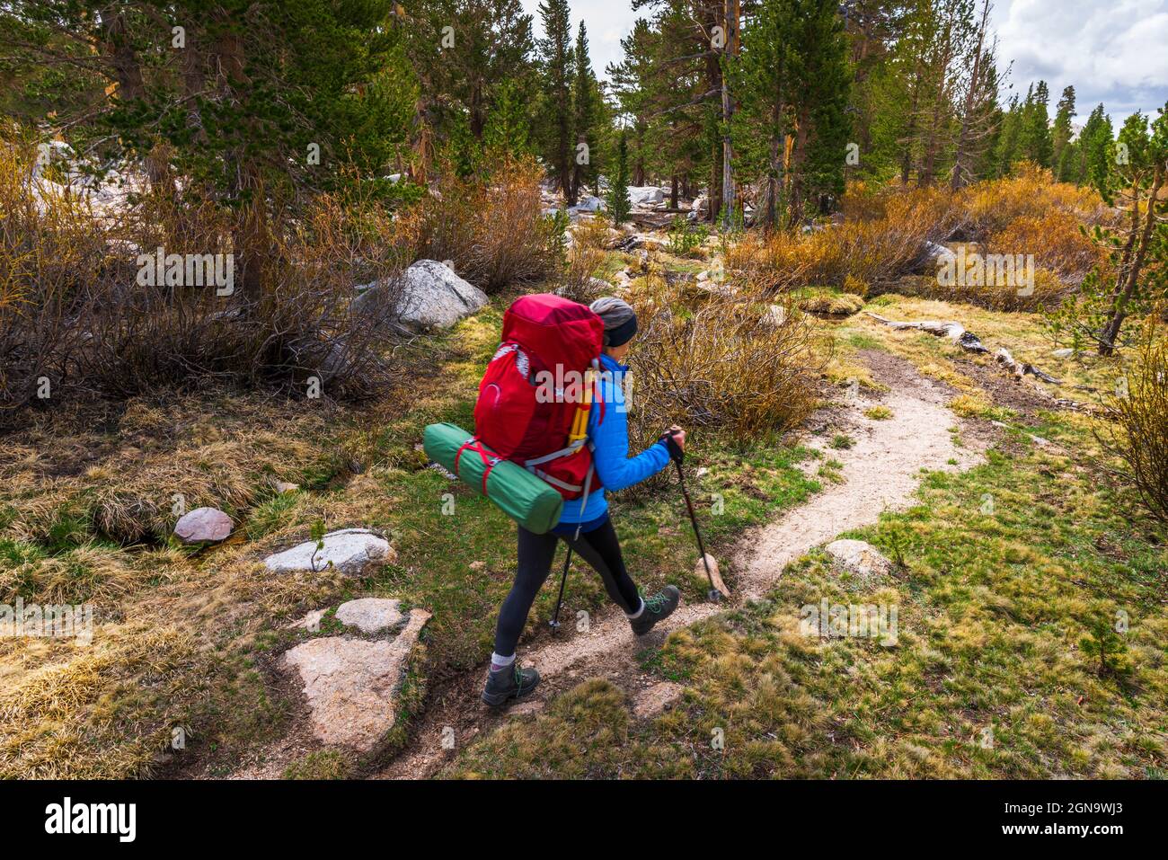 Backpacker on the Cottonwood Lakes Trail, John Muir Wilderness ...