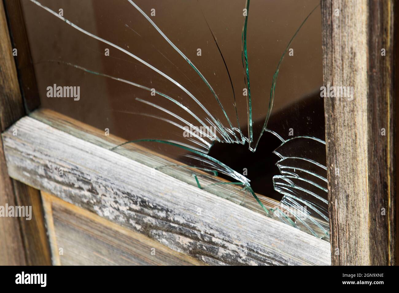 Intruding hi-res stock photography and images - Alamy