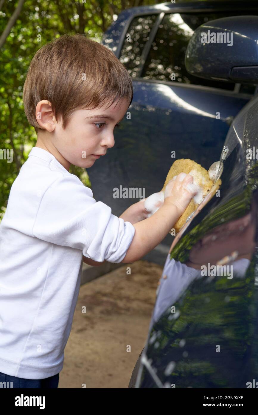 Wet sponge hi-res stock photography and images - Alamy
