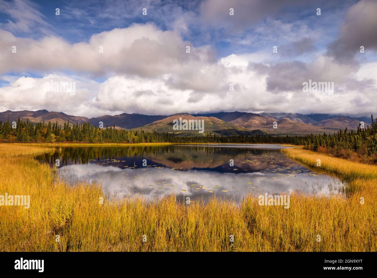 Fall colors surround this kettle pond in Wrangell-St. Elias National ...