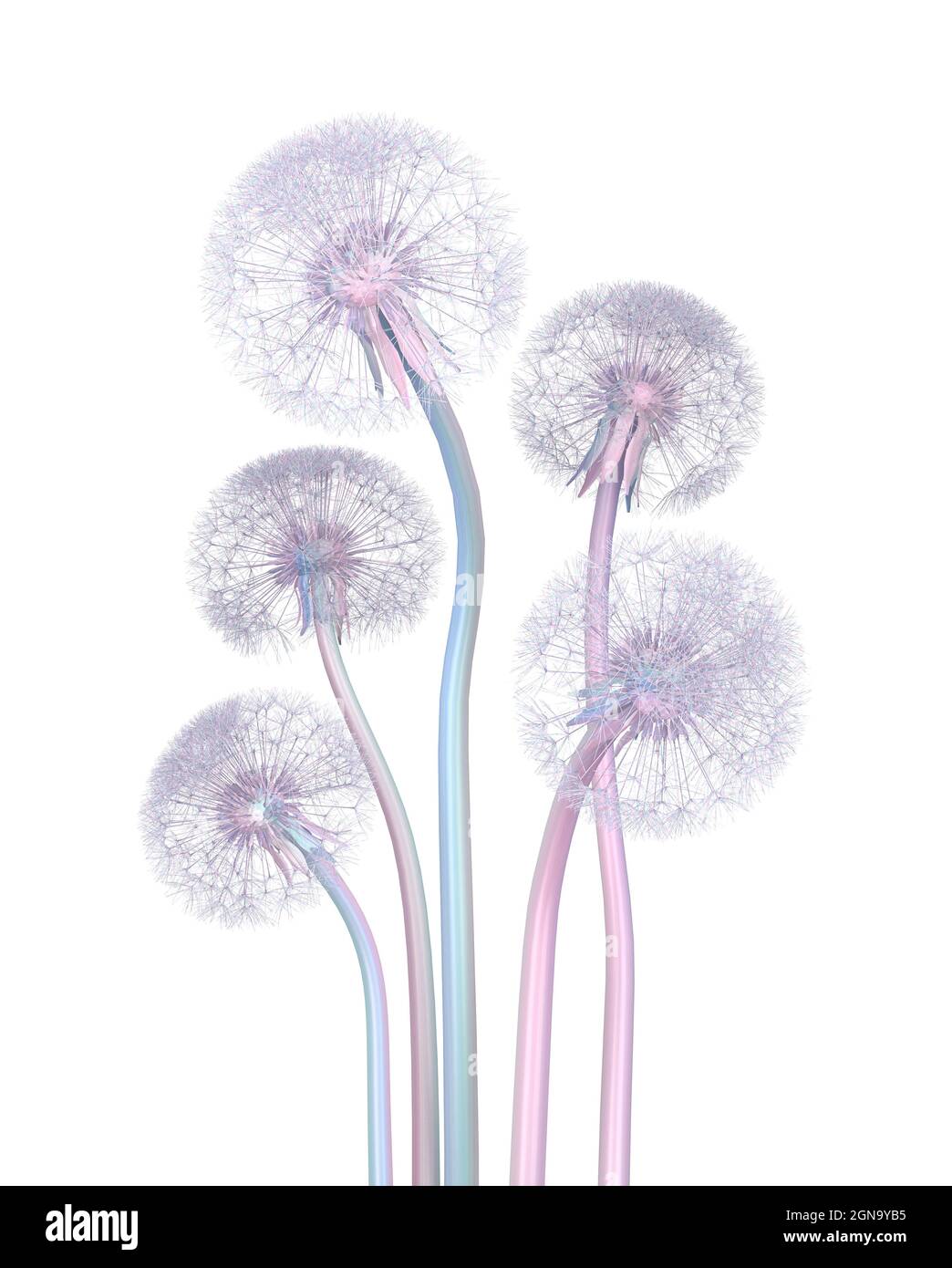 3d Dandelion