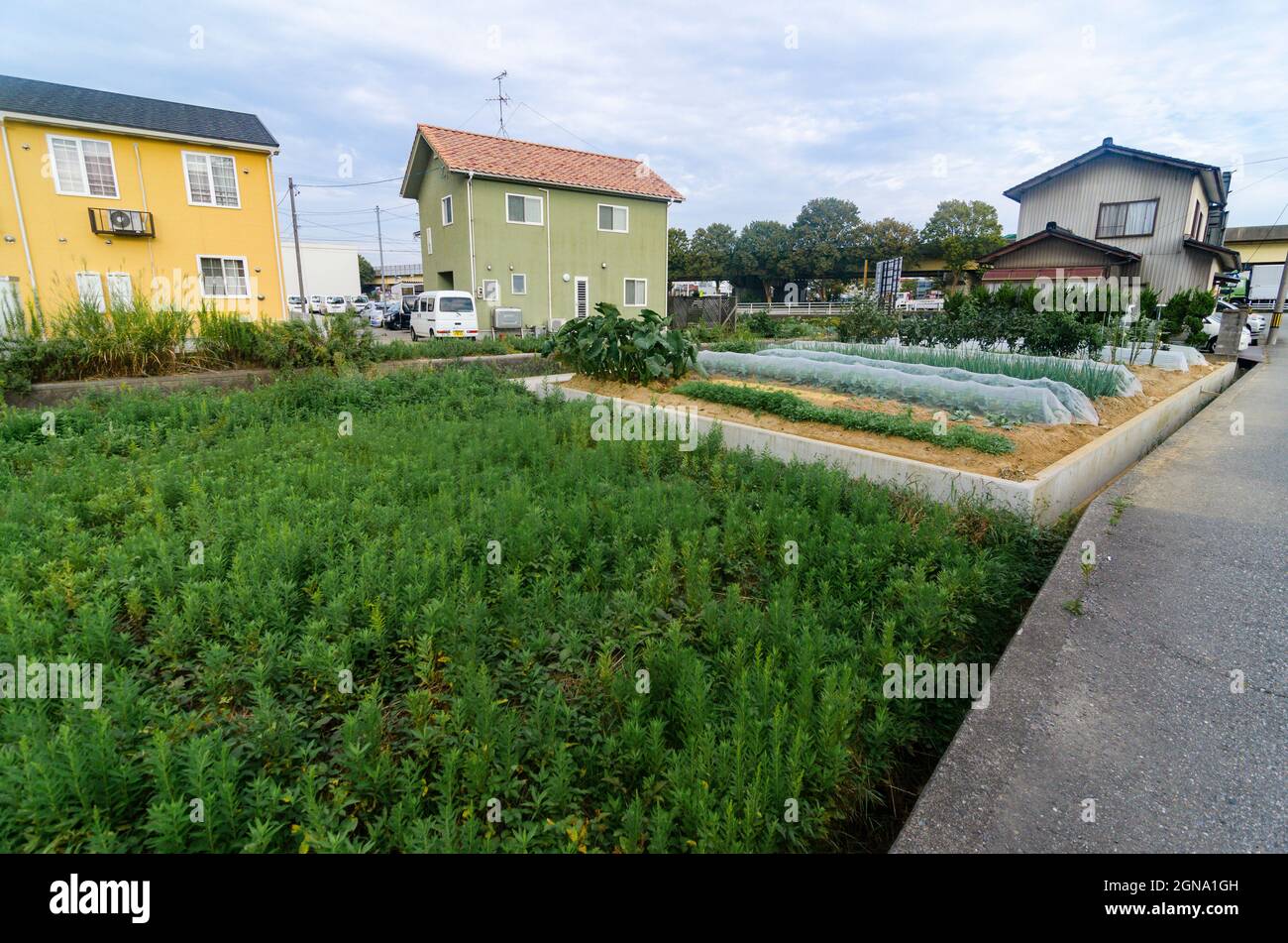 Kanazawa rural houses, Traditional architecture, Countryside charm ...
