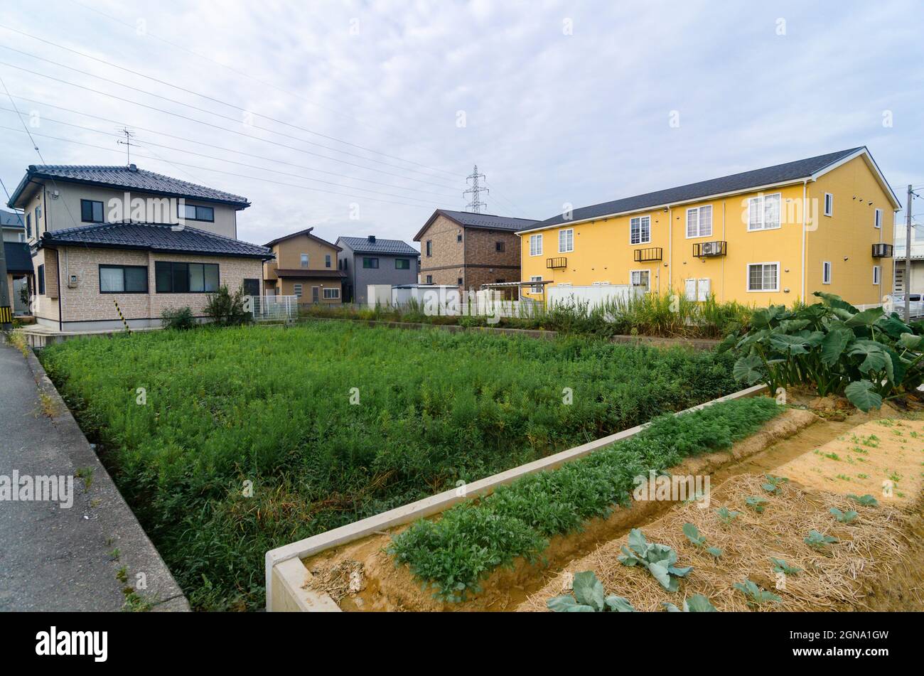 Kanazawa rural houses, Traditional architecture, Countryside charm ...