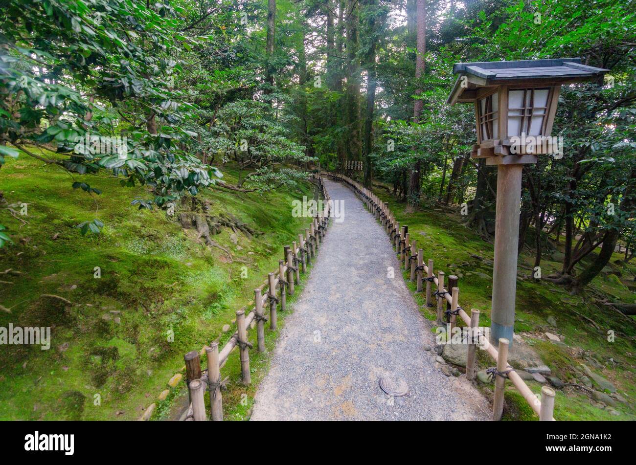 Japanese trees, Lantern-lit pathways, Kanazawa landscapes, Traditional ...