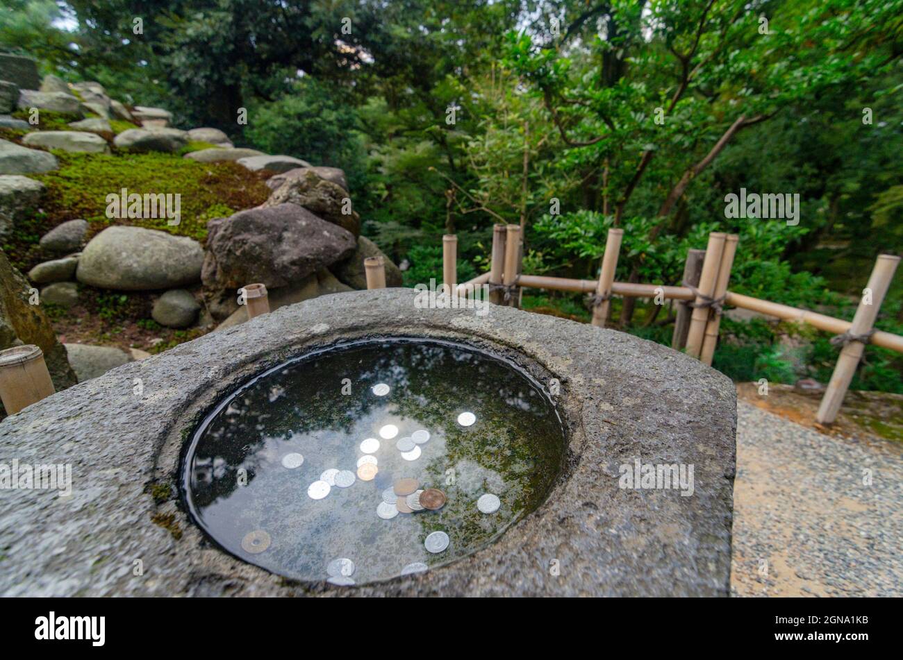 Japanese trees, Lantern-lit pathways, Kanazawa landscapes, Traditional ...