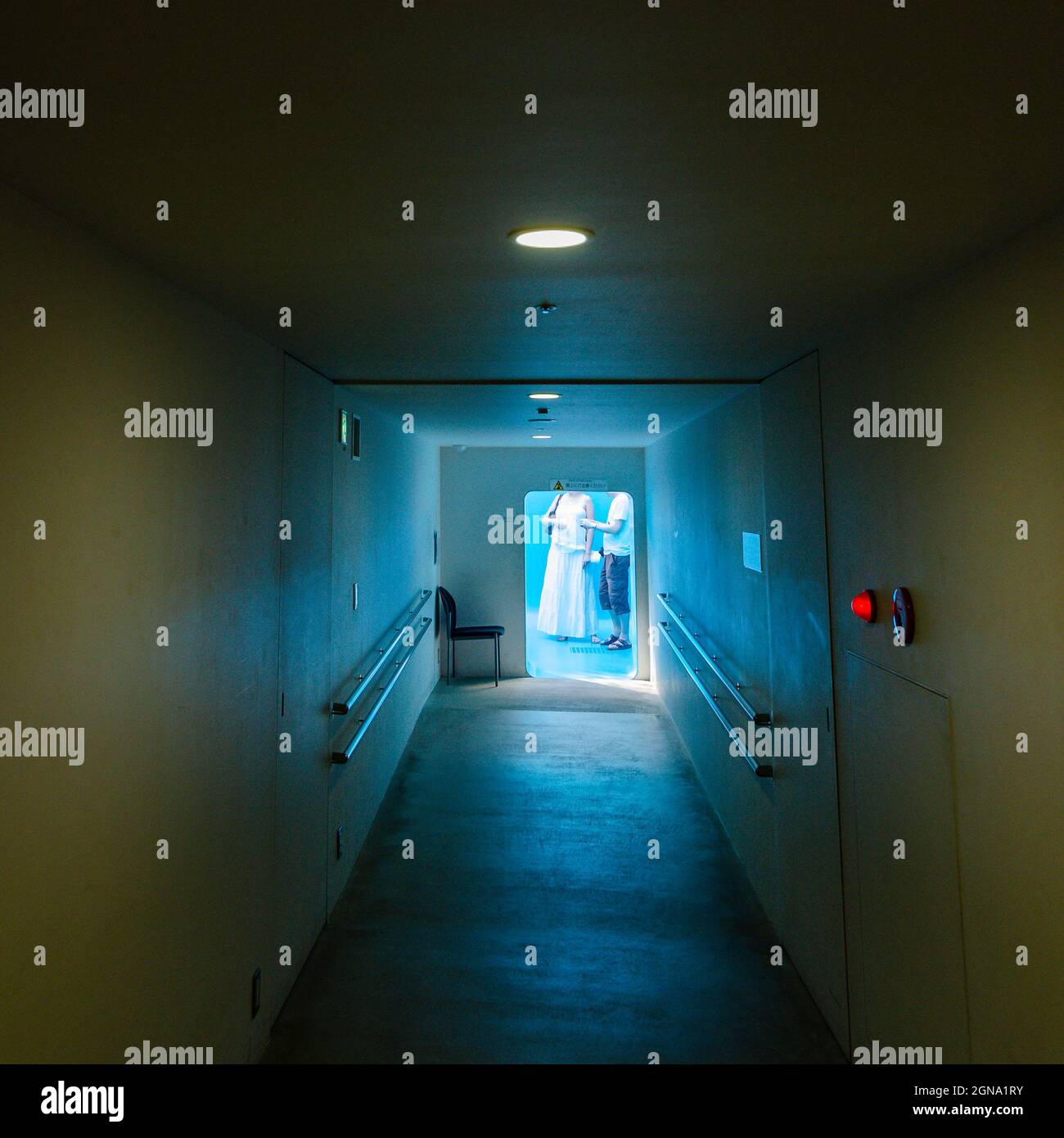 Kanazawa Museum of Modern Art, Art museum, Modern art, Contemporary art ...