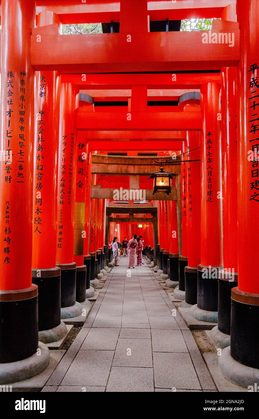Fushimi Inari Temple and surrounding bamboo forests Stock Photo - Alamy