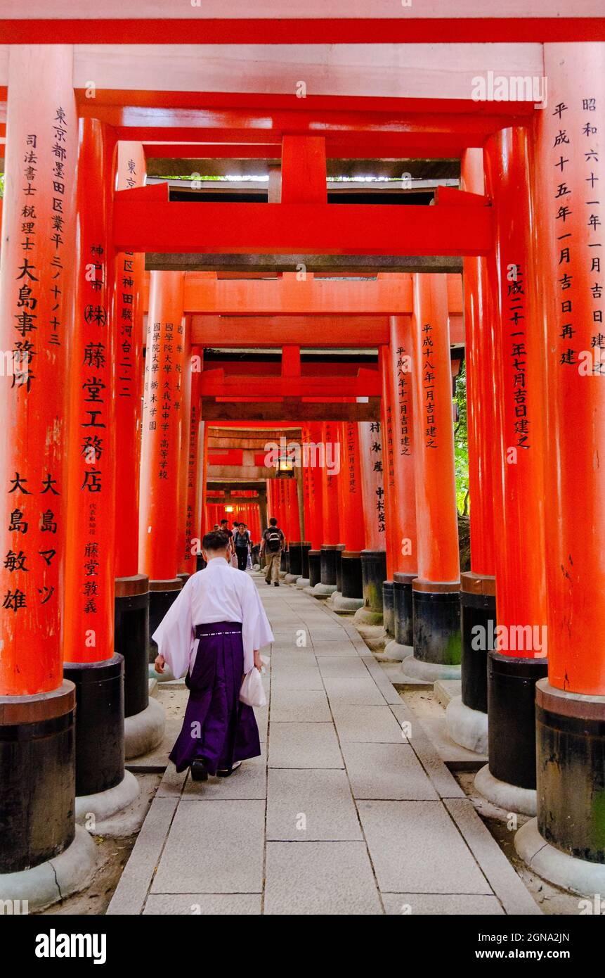 Fushimi Inari Temple and surrounding bamboo forests Stock Photo - Alamy