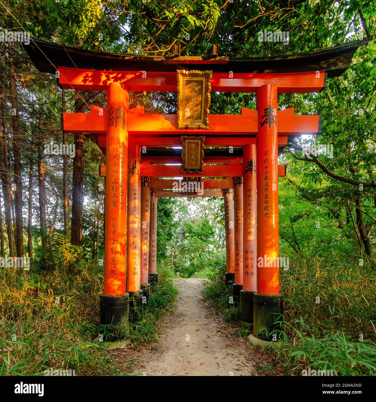 Fushimi Inari Temple and surrounding bamboo forests Stock Photo - Alamy