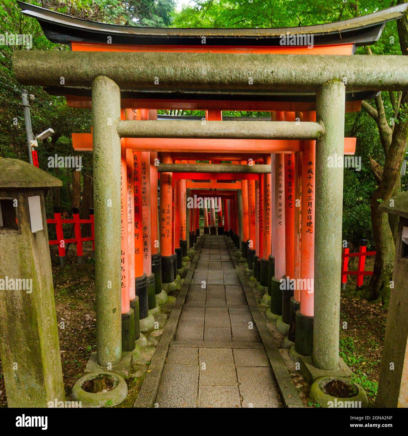Fushimi Inari Temple and surrounding bamboo forests Stock Photo - Alamy