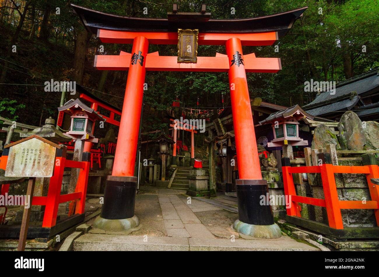 Fushimi Inari Temple and surrounding bamboo forests Stock Photo - Alamy