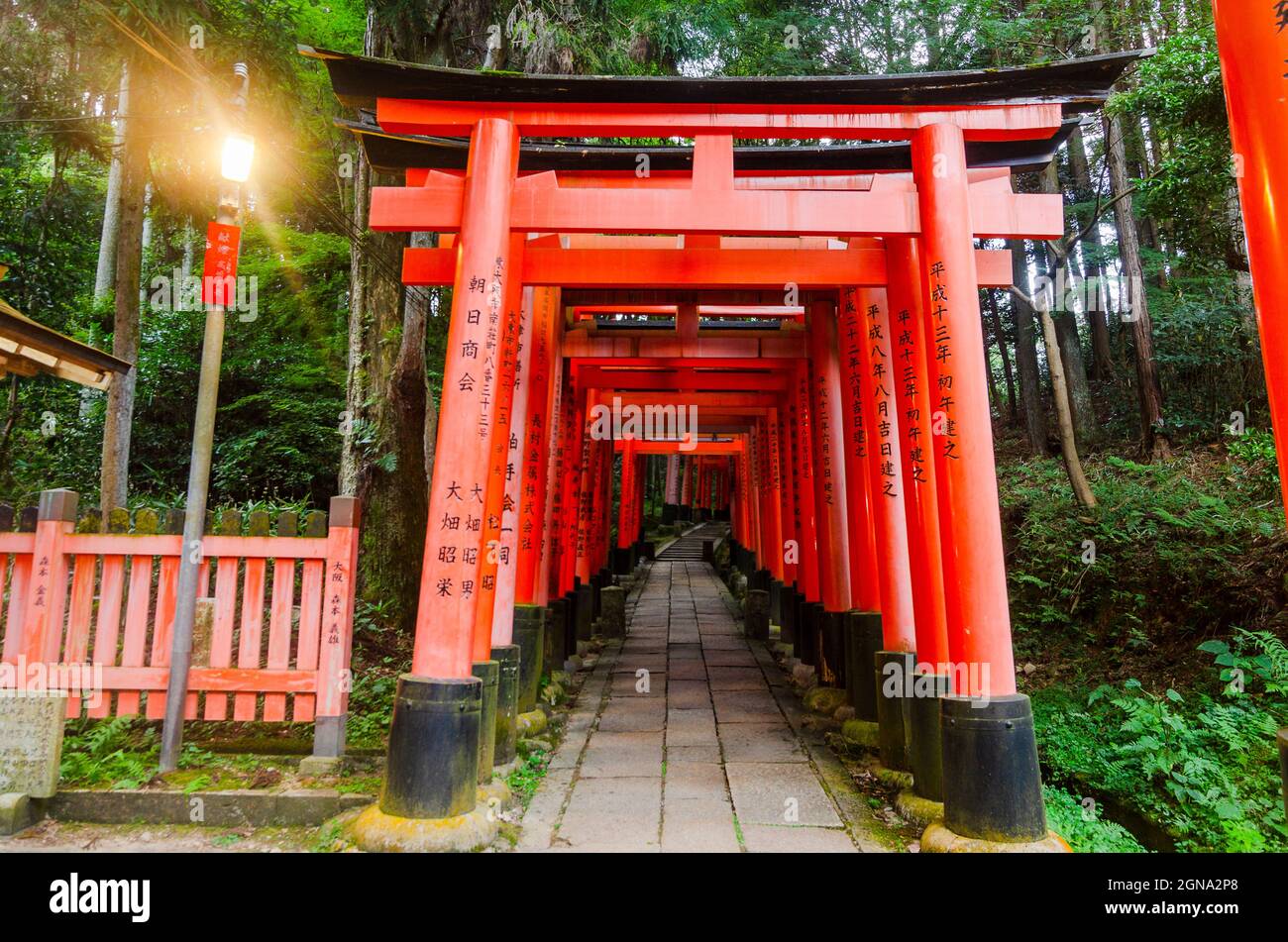 Fushimi Inari Temple and surrounding bamboo forests Stock Photo - Alamy
