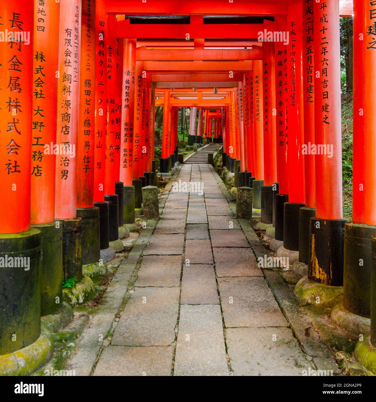 Fushimi Inari Temple at Night Stock Photo - Alamy