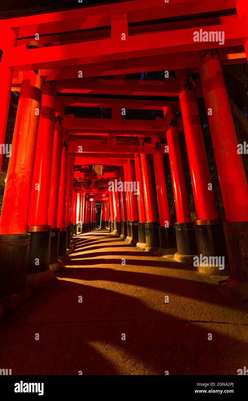 Fushimi Inari Temple and surrounding bamboo forests Stock Photo - Alamy