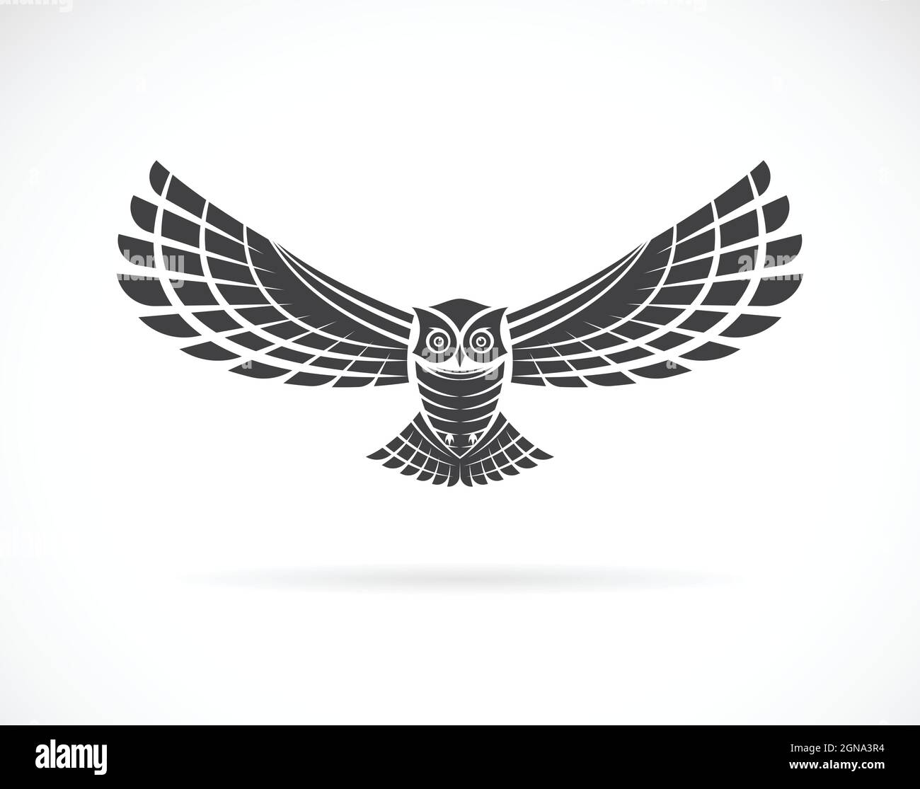 Flying Owl Design