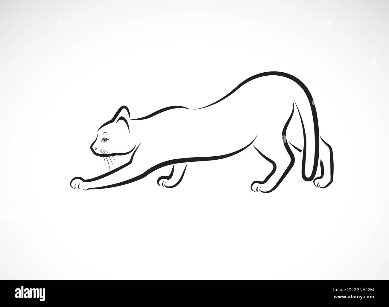 Vector of a cat design on white background. Pet. Animals. Cats logo or icon. Easy editable ...