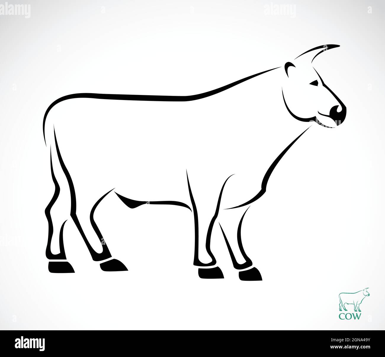 Vector image of a cow on white background. Easy editable layered vector ...