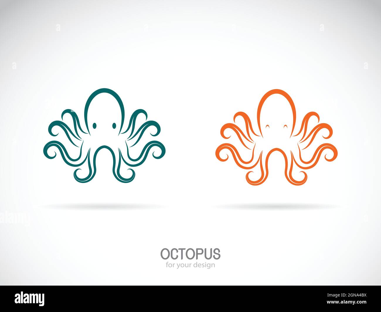 Vector of an octopus design on a white background. Aquatic animals ...