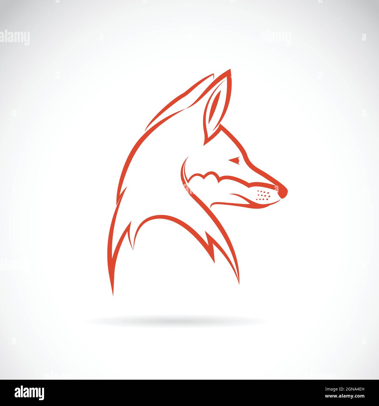 Vector image of a fox head on white background. Easy editable layered ...