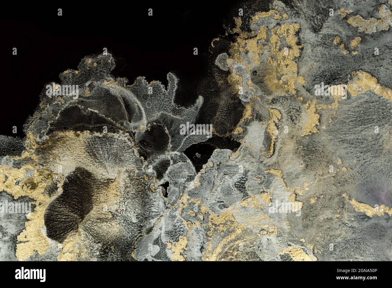 Abstract Alcohol ink. Silver and gold colors on black background ...