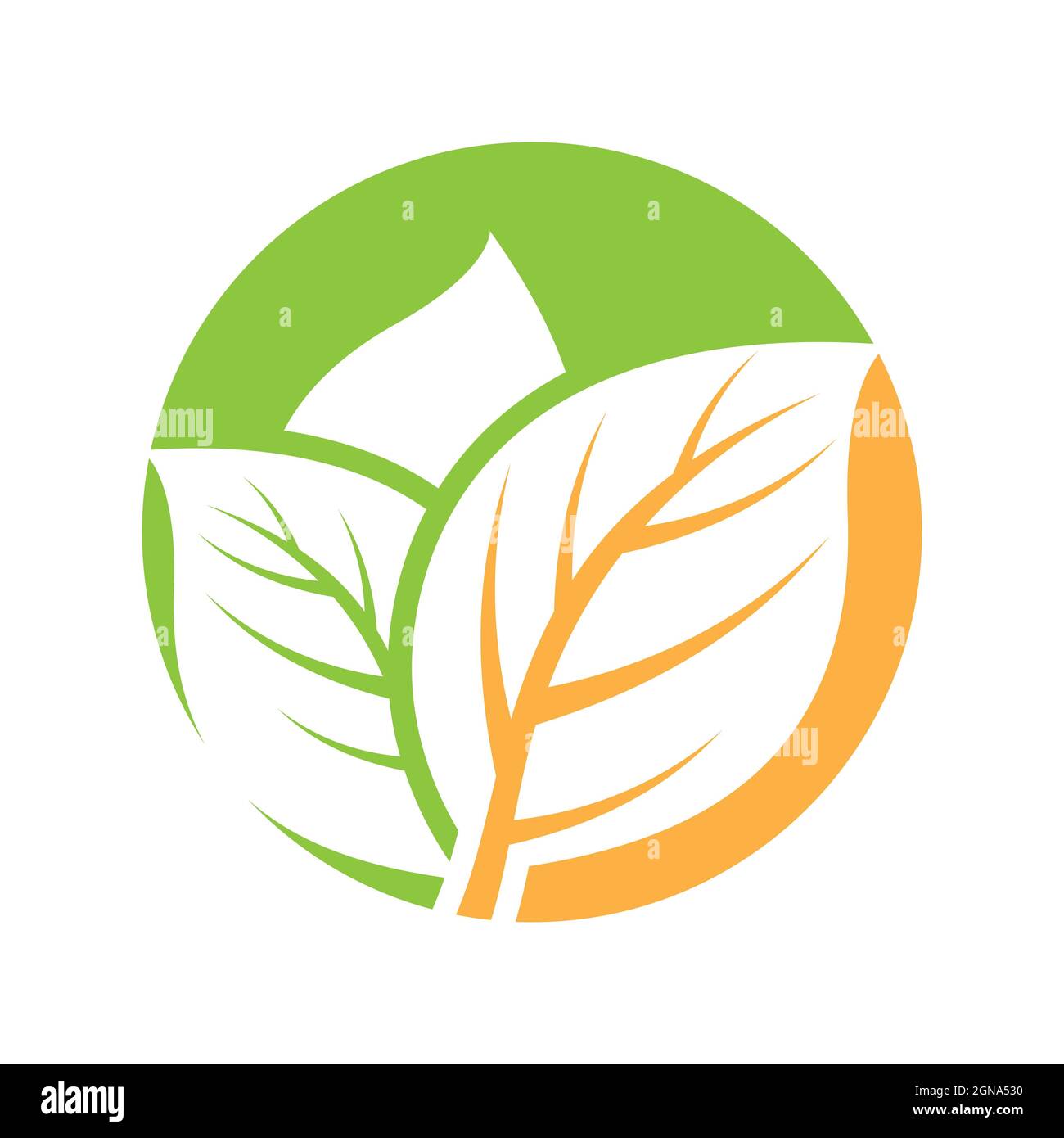 Leaf vector logo template icon design Stock Photo - Alamy