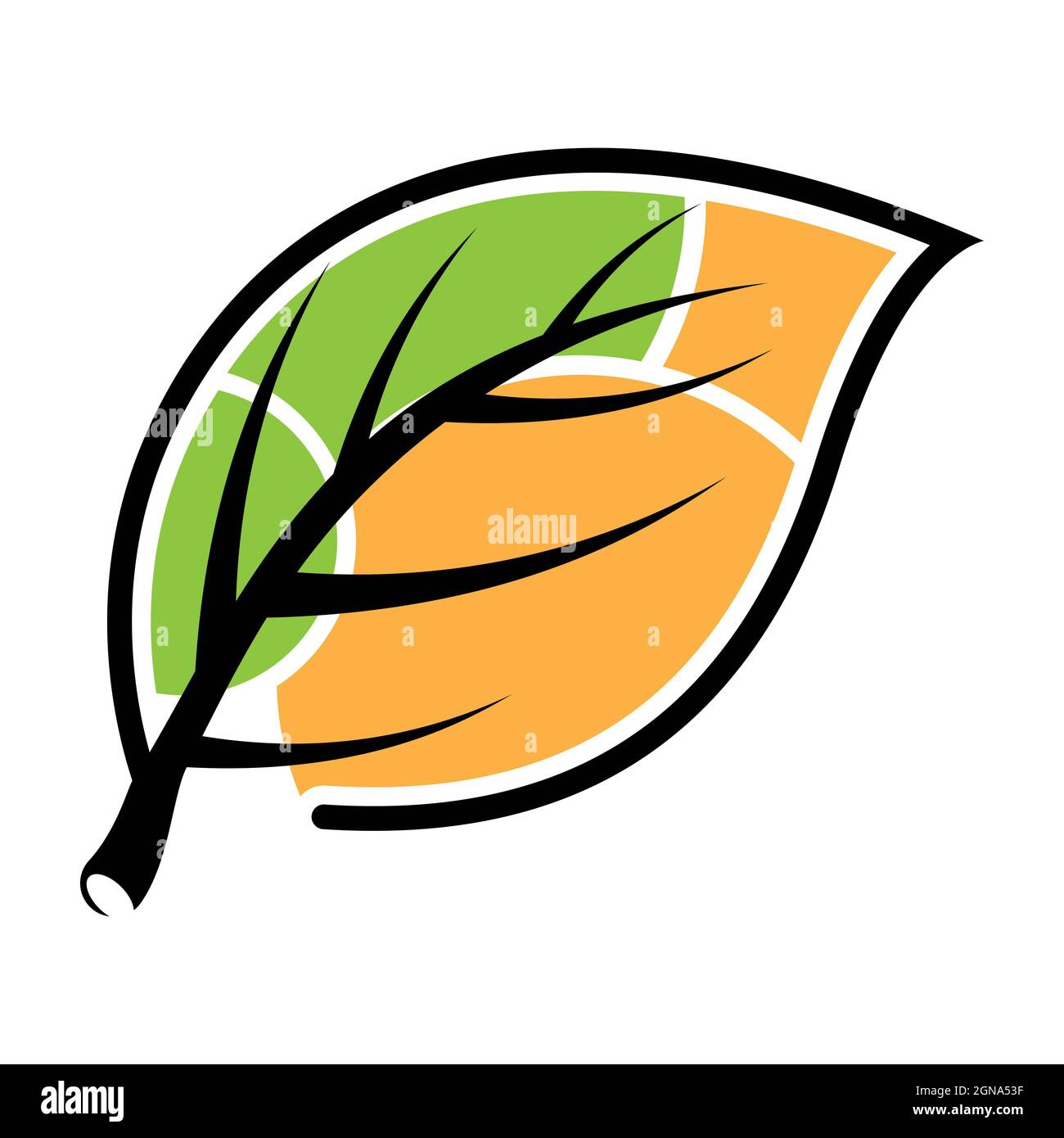 Leaf vector logo template icon design Stock Photo - Alamy