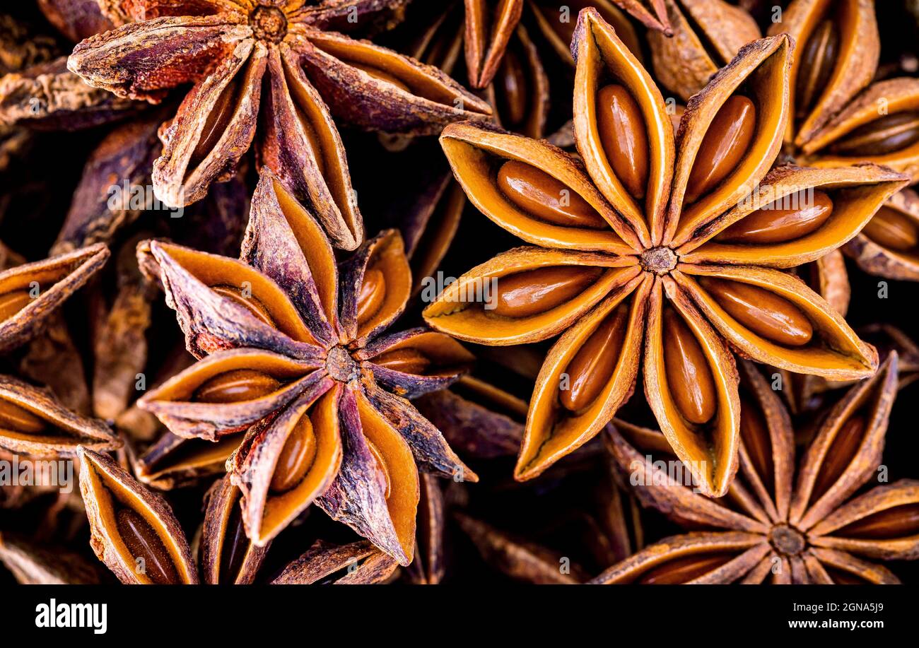 Chinese star anise close up background. Dried star anise spice fruits ...