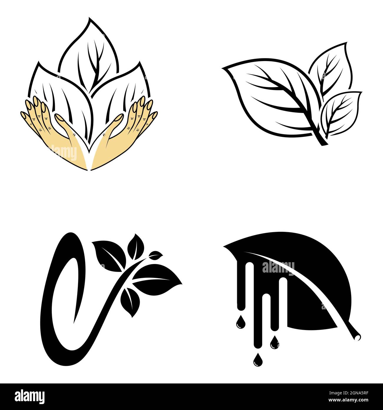 Leaf logo elements Cut Out Stock Images & Pictures - Alamy
