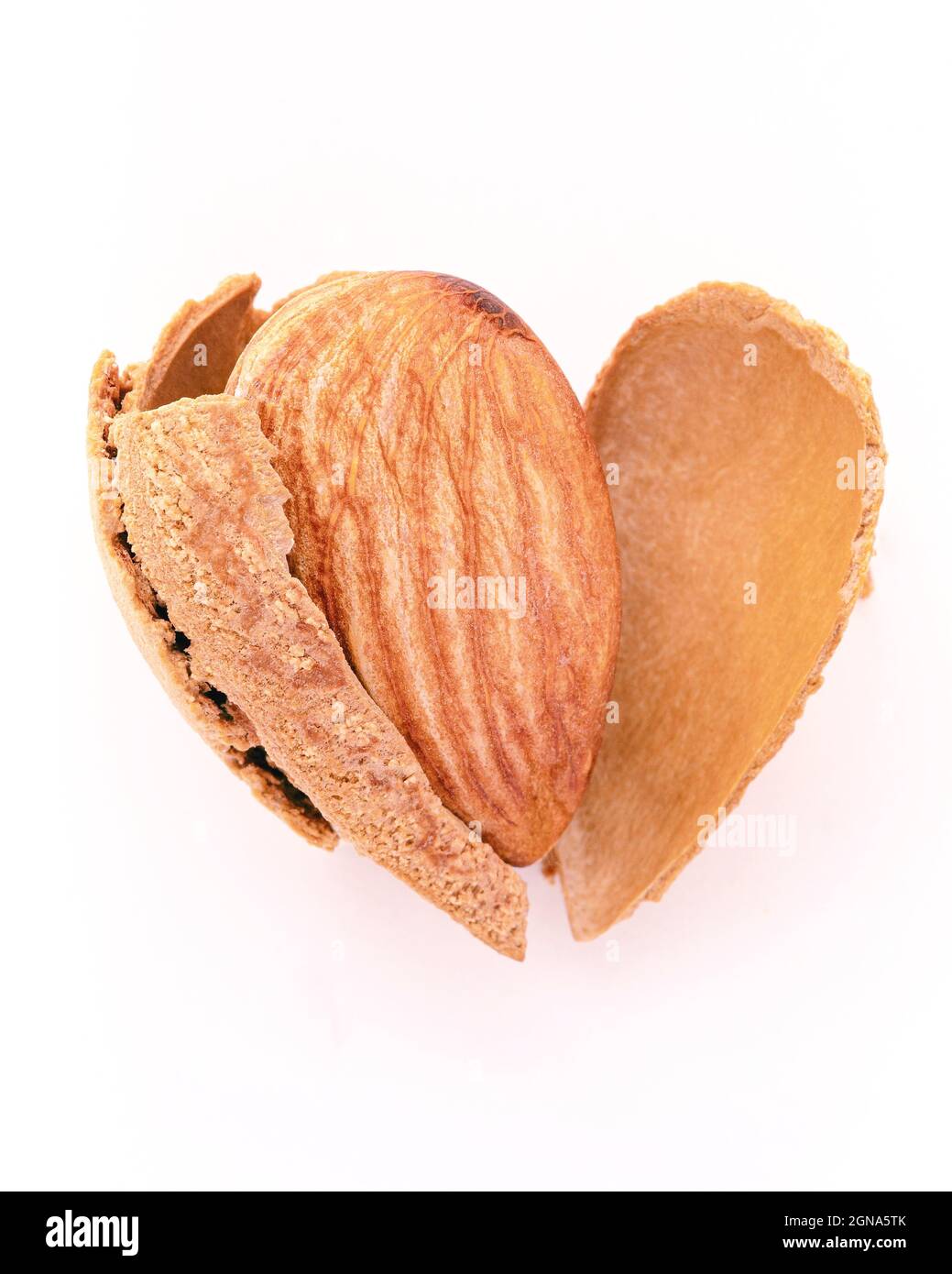 Close up almonds nut shell cracked in heart shape isolated on white ...