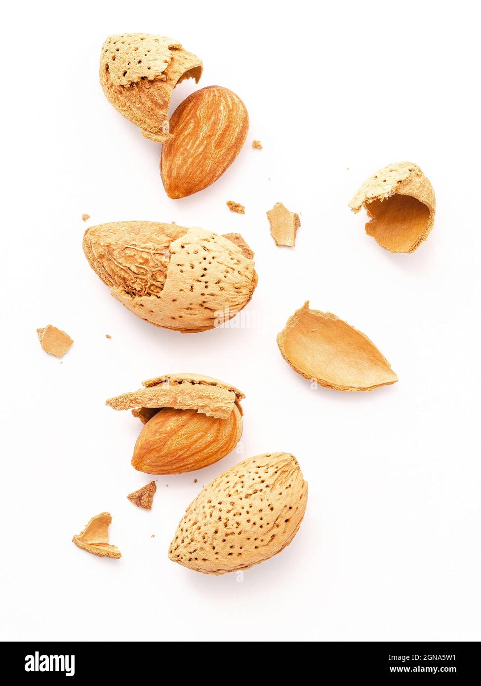 Close up group of almonds nut with shell and cracked almonds shell ...