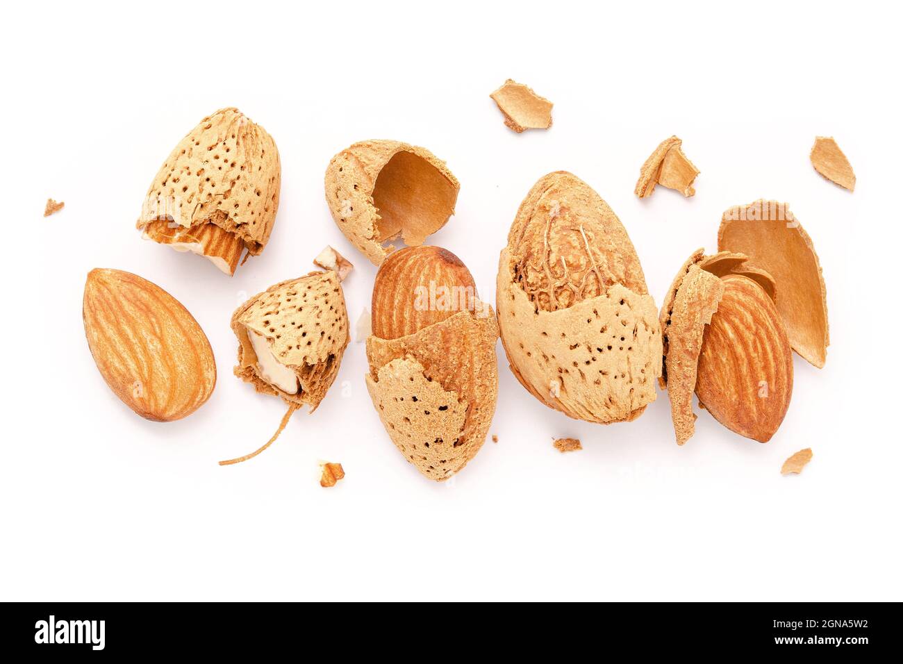 Close up group of almonds nut with shell and cracked almonds shell ...