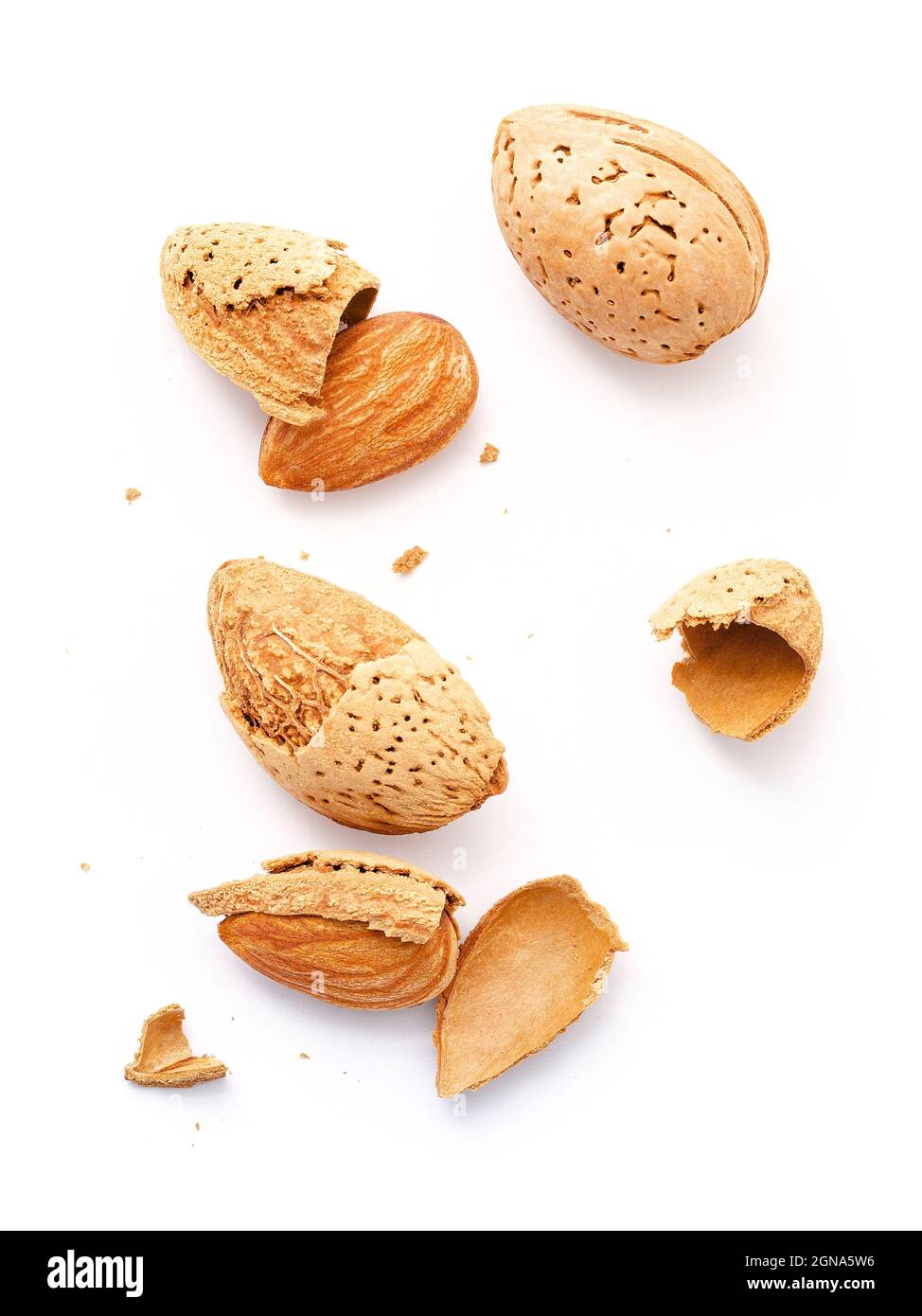 Close up group of almonds nut with shell and cracked almonds shell ...