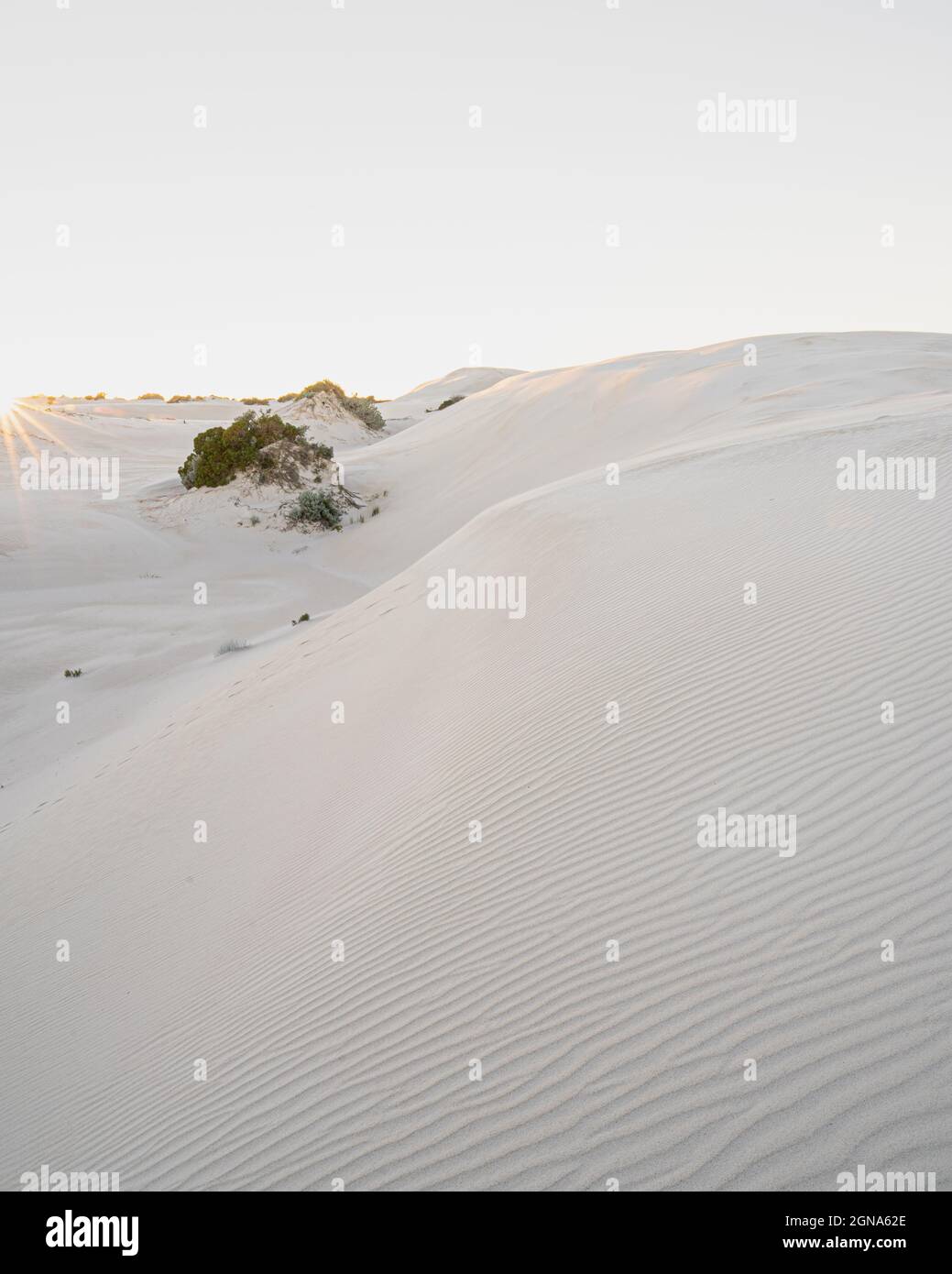 Sand dune landscape North of Perth, Western Australia Stock Photo - Alamy