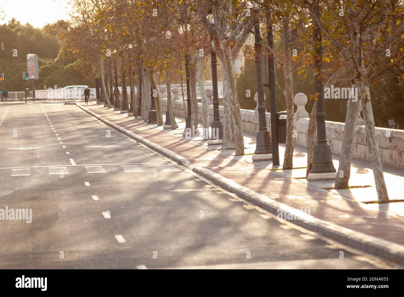 beautiful sunset golden hour in fall trees street pedestrians sidewalk ...