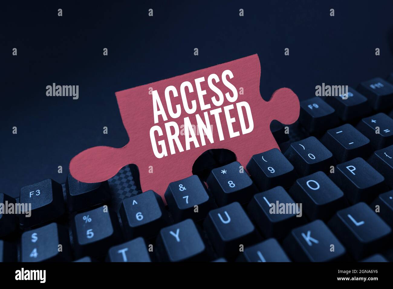 Inspiration showing sign Access Granted. Business showcase admittance ...