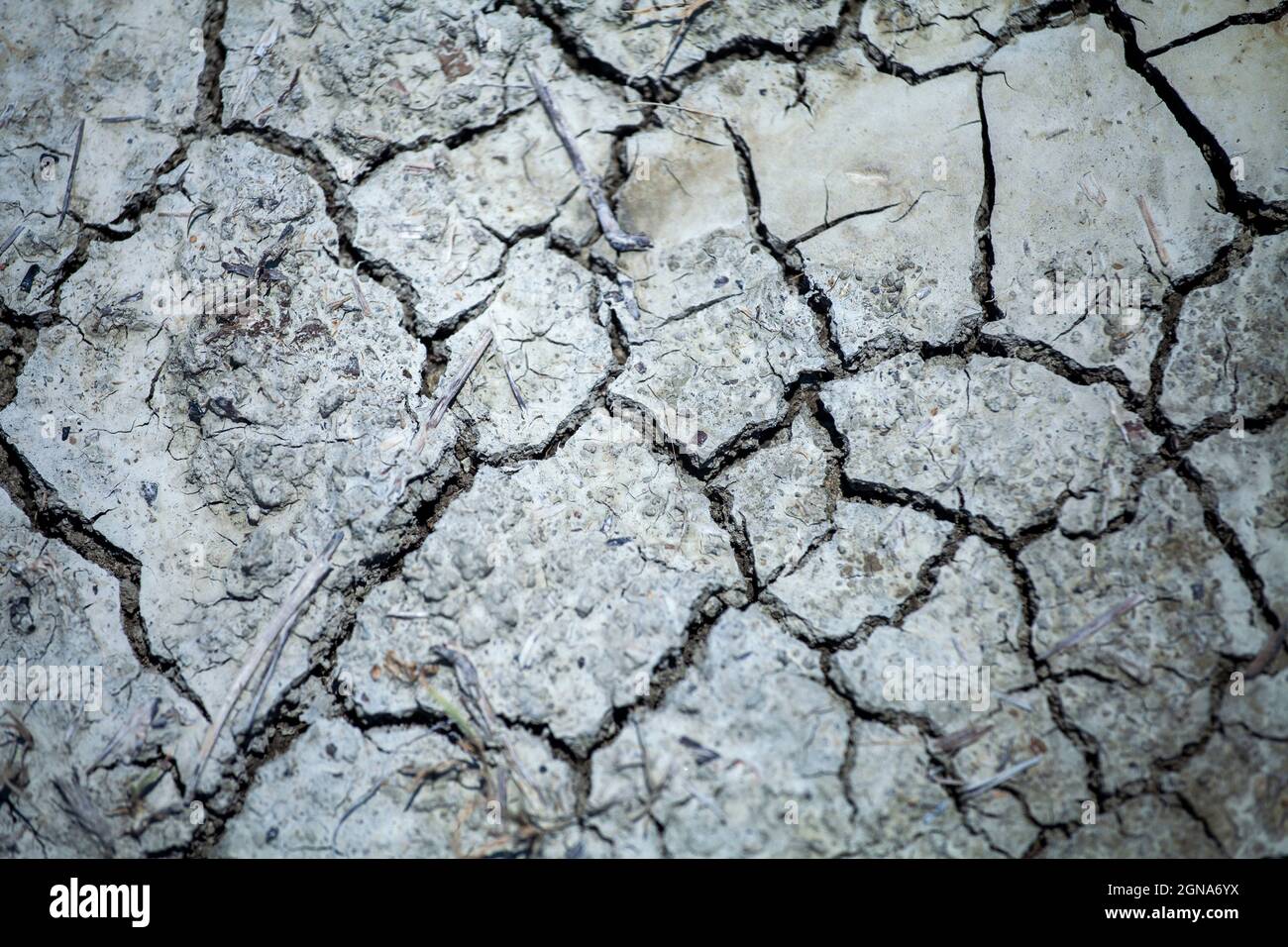 texture of broken ground earth desert cracks background fractals Stock ...