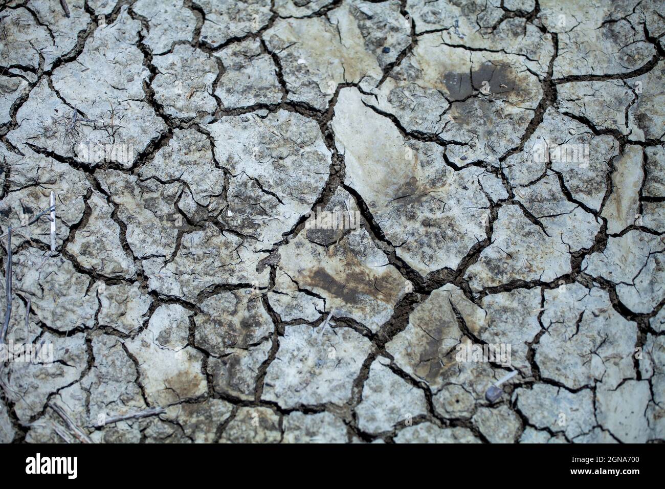 texture of broken ground earth desert cracks background fractals Stock ...