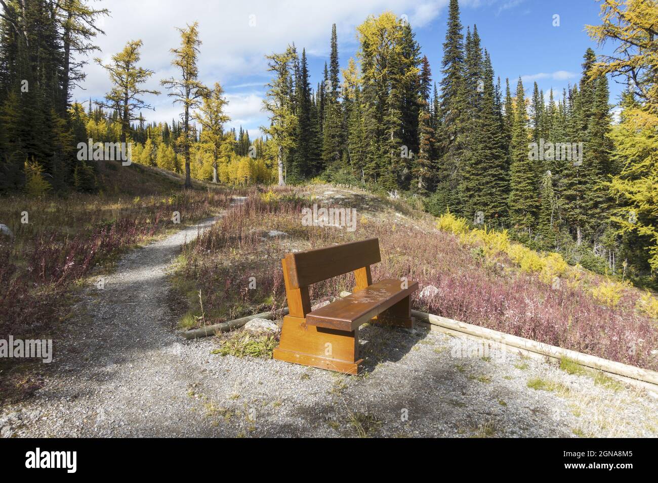 Wooden Park Rest Bench and Autumn Foliage Colors Scenic Landscape on a ...