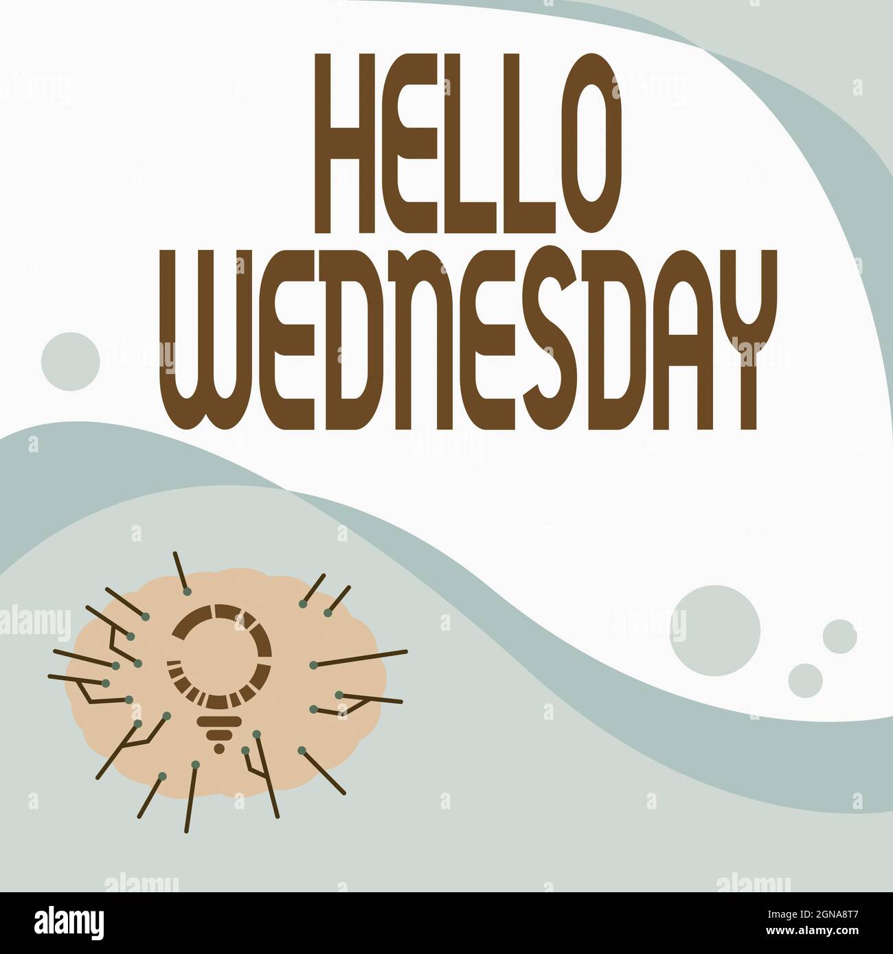 Middle Of The Week Wednesday