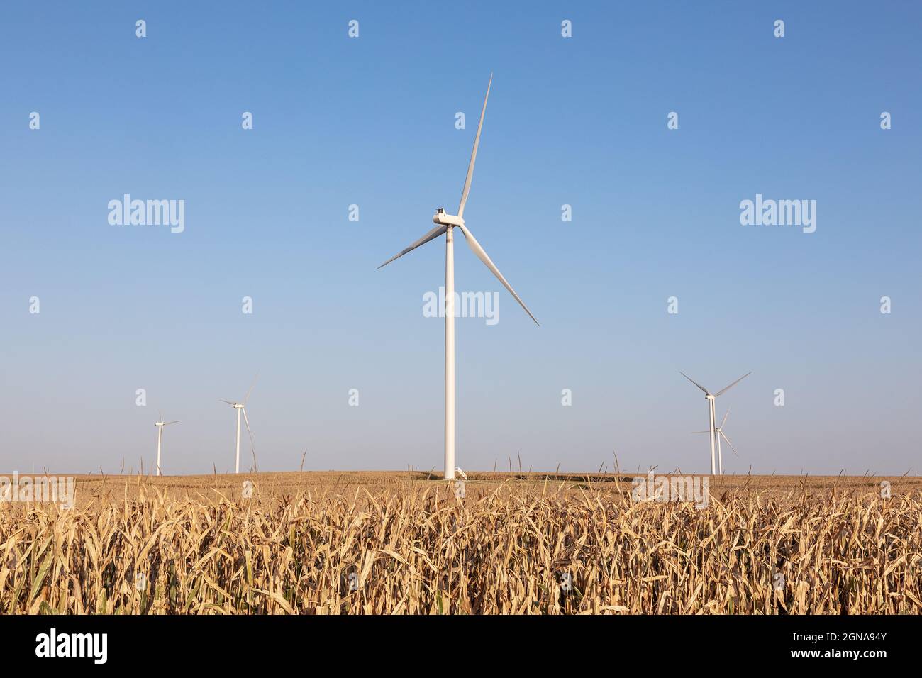 The MidAmerican Energy Prairie Wind Farm using Vestas turbines in New ...