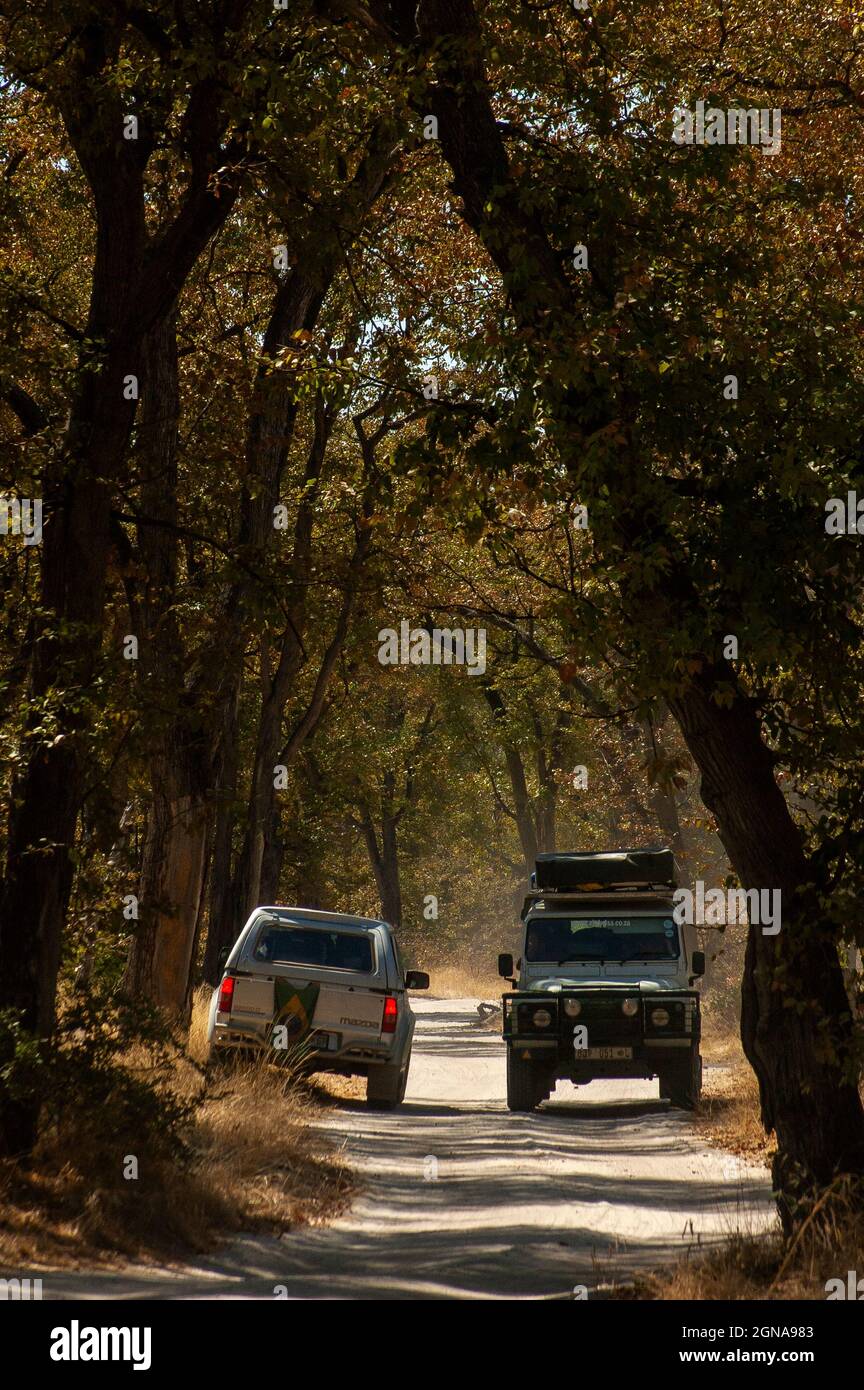 Road from Maun to Moremi Game Reserve, Botswana Stock Photo - Alamy